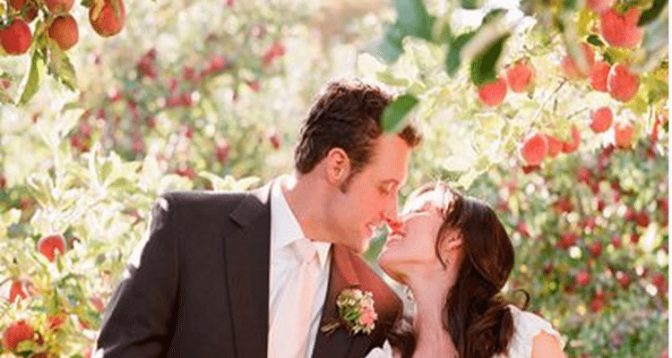 Apple Theme Weddings | | TopWeddingSites.com